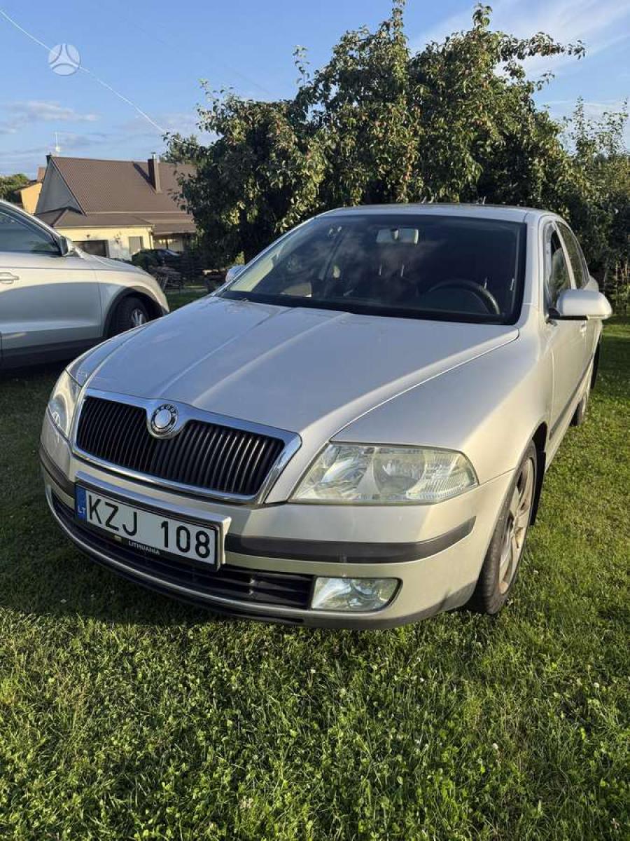 Grey Skoda Octavia 2004 in Alytus, with an engine capacity of 1.97 L and mileage of 231 thousand km for 1500 €, photo 1 on AUTOMOTO.COM.LV