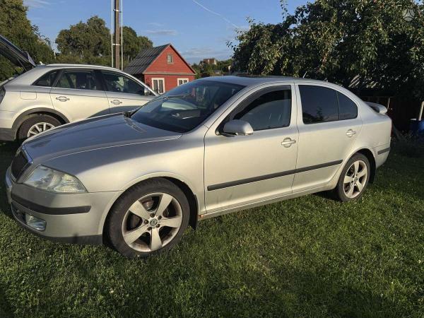 Grey Skoda Octavia 2004 in Alytus, with an engine capacity of 1.97 L and mileage of 231 thousand km for 1500 €, photo 2 on AUTOMOTO.COM.LV