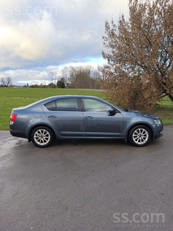 Pelēks Skoda Octavia 2016 Rīga, ar dzinēja tilpumu 1.60 L un nobraukumu 254 tūkst. km par 5000 €, foto 3 vietnē AUTOMOTO.COM.LV