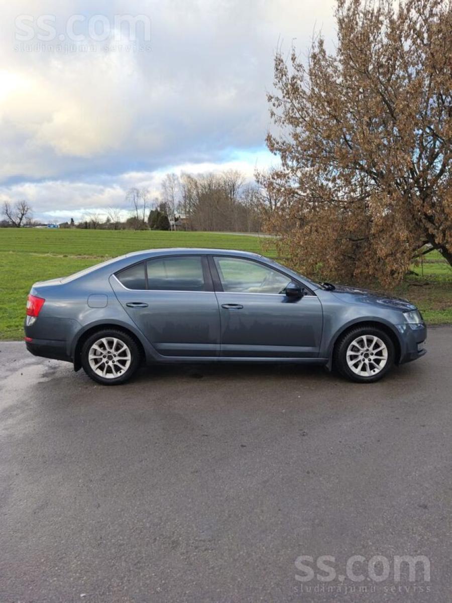 Grey Skoda Octavia 2016 in Riga, with an engine capacity of 1.60 L and mileage of 254 thousand km for 5000 €, photo 4 on AUTOMOTO.COM.LV
