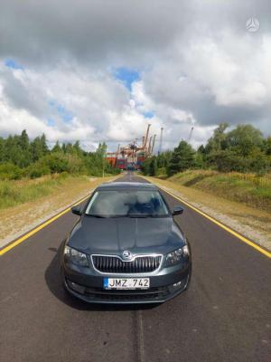 Pelēks Skoda Octavia 2016 Klaipėda, ar dzinēja tilpumu 1.60 L un nobraukumu 155 tūkst. km par 7800 €, foto 3 vietnē AUTOMOTO.COM.LV