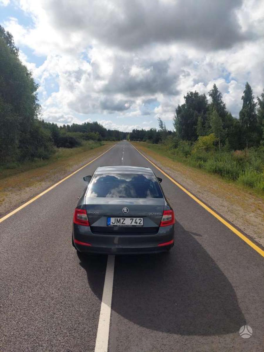 Pelēks Skoda Octavia 2016 Klaipėda, ar dzinēja tilpumu 1.60 L un nobraukumu 155 tūkst. km par 7800 €, foto 4 vietnē AUTOMOTO.COM.LV