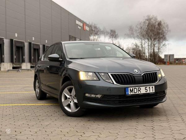 Grey Skoda Octavia 2017 in Vievis, with an engine capacity of 1.40 L and mileage of 190 thousand km for 9500 €, photo 1 on AUTOMOTO.COM.LV