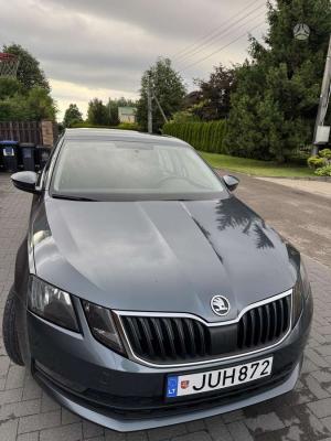 Grey Skoda Octavia 2017 in Vilnius, with an engine capacity of 1.60 L and mileage of 328 thousand km for 6500 €, photo 4 on AUTOMOTO.COM.LV