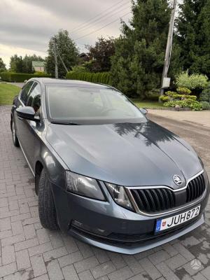 Grey Skoda Octavia 2017 in Vilnius, with an engine capacity of 1.60 L and mileage of 328 thousand km for 6500 €, photo 5 on AUTOMOTO.COM.LV