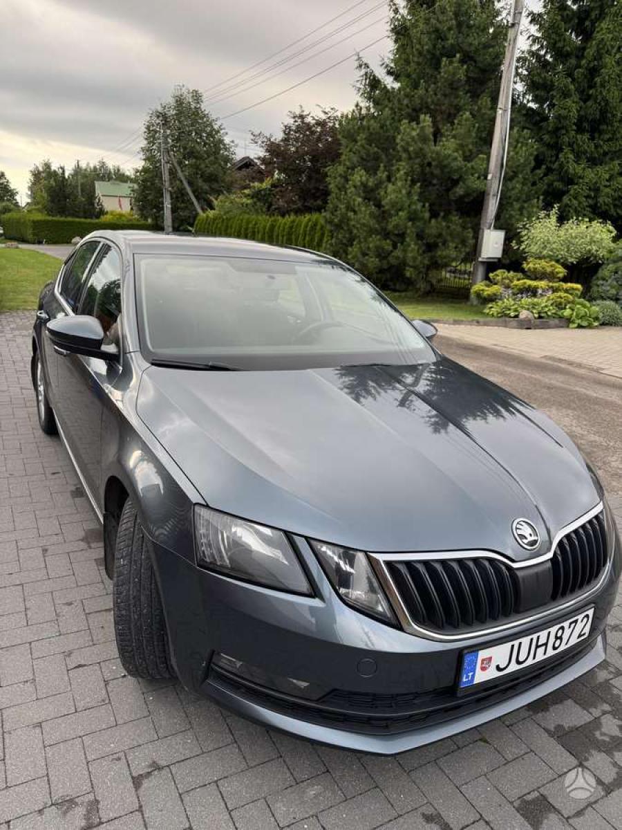 Grey Skoda Octavia 2017 in Vilnius, with an engine capacity of 1.60 L and mileage of 328 thousand km for 6500 €, photo 5 on AUTOMOTO.COM.LV