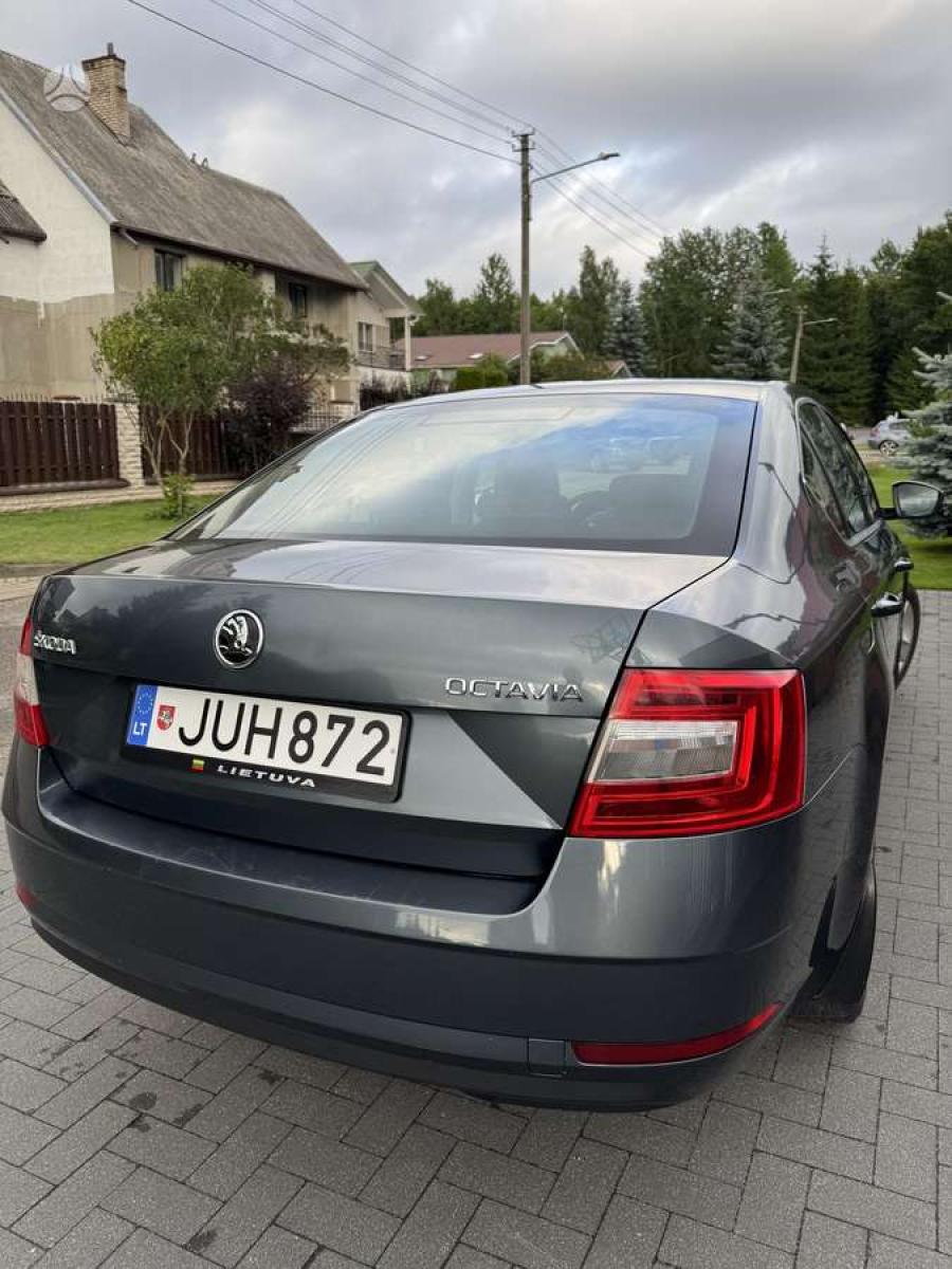 Grey Skoda Octavia 2017 in Vilnius, with an engine capacity of 1.60 L and mileage of 328 thousand km for 6500 €, photo 9 on AUTOMOTO.COM.LV