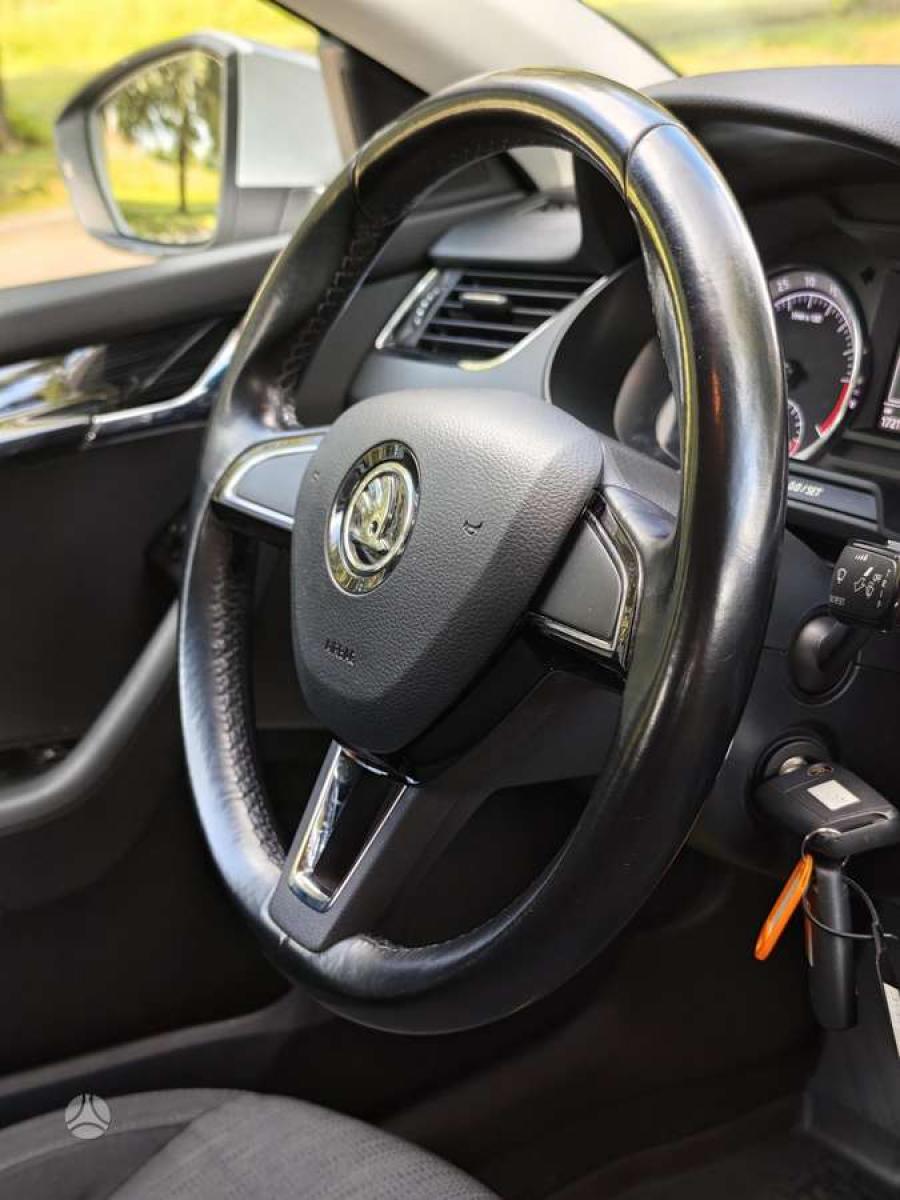 Grey Skoda Octavia 2017 in Vilnius, with an engine capacity of 1.60 L and mileage of 172 thousand km for 10999 €, photo 14 on AUTOMOTO.COM.LV