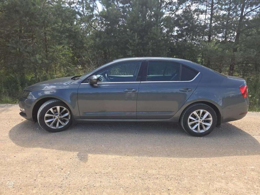 Pelēks Skoda Octavia 2018 Viļņa, ar dzinēja tilpumu 1.60 L un nobraukumu 93 tūkst. km par 12000 €, foto 4 vietnē AUTOMOTO.COM.LV