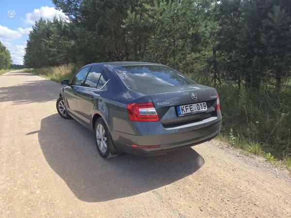 Grey Skoda Octavia 2018 in Vilnius, with an engine capacity of 1.60 L and mileage of 93 thousand km for 12000 €, photo 4 on AUTOMOTO.COM.LV