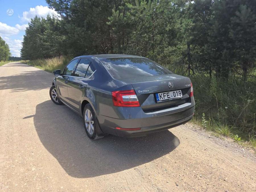 Pelēks Skoda Octavia 2018 Viļņa, ar dzinēja tilpumu 1.60 L un nobraukumu 93 tūkst. km par 12000 €, foto 5 vietnē AUTOMOTO.COM.LV