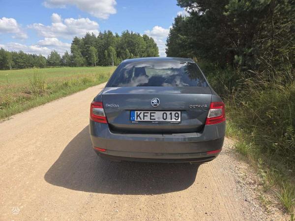 Grey Skoda Octavia 2018 in Vilnius, with an engine capacity of 1.60 L and mileage of 93 thousand km for 12000 €, photo 5 on AUTOMOTO.COM.LV