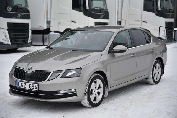 Pelēks Skoda Octavia 2019 Viļņa, ar dzinēja tilpumu 1.60 L un nobraukumu 138 tūkst. km par 10500 €, foto 1 vietnē AUTOMOTO.COM.LV