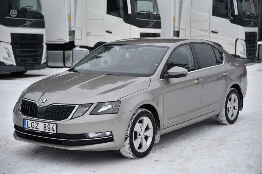 Pelēks Skoda Octavia 2019 Viļņa, ar dzinēja tilpumu 1.60 L un nobraukumu 138 tūkst. km par 10500 €, foto 1 vietnē AUTOMOTO.COM.LV
