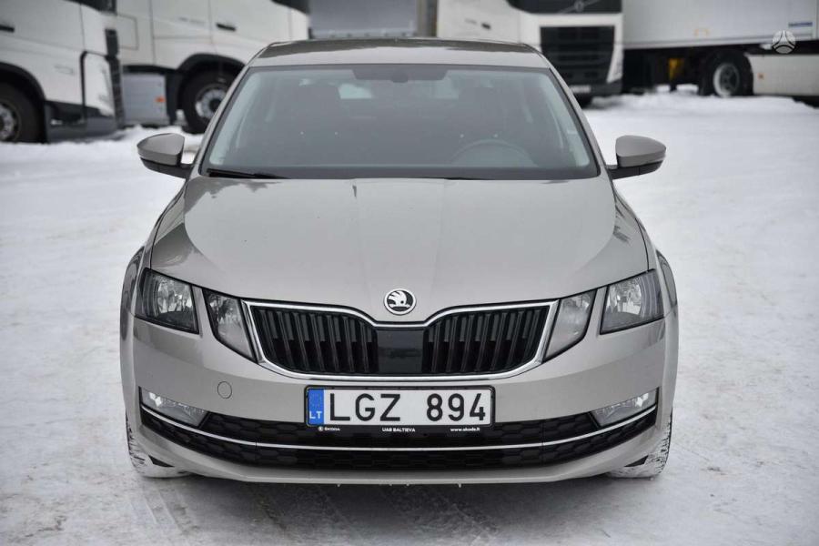 Pelēks Skoda Octavia 2019 Viļņa, ar dzinēja tilpumu 1.60 L un nobraukumu 138 tūkst. km par 10500 €, foto 2 vietnē AUTOMOTO.COM.LV