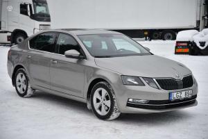 Pelēks Skoda Octavia 2019 Viļņa, ar dzinēja tilpumu 1.60 L un nobraukumu 138 tūkst. km par 10500 €, foto 3 vietnē AUTOMOTO.COM.LV