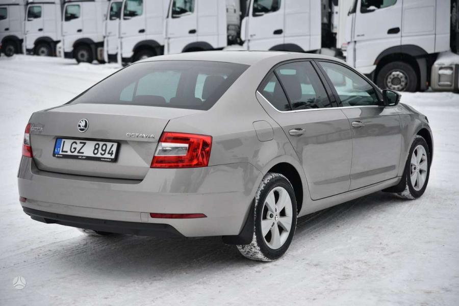 Pelēks Skoda Octavia 2019 Viļņa, ar dzinēja tilpumu 1.60 L un nobraukumu 138 tūkst. km par 10500 €, foto 4 vietnē AUTOMOTO.COM.LV