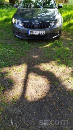 Grey Skoda Octavia 2019 in Liepaja, with an engine capacity of 1.50 L and mileage of 48 thousand km for 13100 €, photo 7 on AUTOMOTO.COM.LV