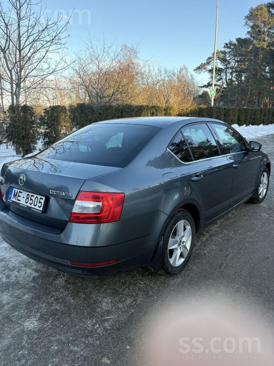 Pelēks Skoda Octavia 2019 Jūrmala, ar dzinēja tilpumu 1.60 L un nobraukumu 144 tūkst. km par 12200 €, foto 5 vietnē AUTOMOTO.COM.LV