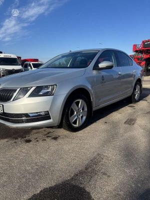 Pelēks Skoda Octavia 2019 Kėdainiai, ar dzinēja tilpumu 1.60 L un nobraukumu 207 tūkst. km par 7500 €, foto 3 vietnē AUTOMOTO.COM.LV
