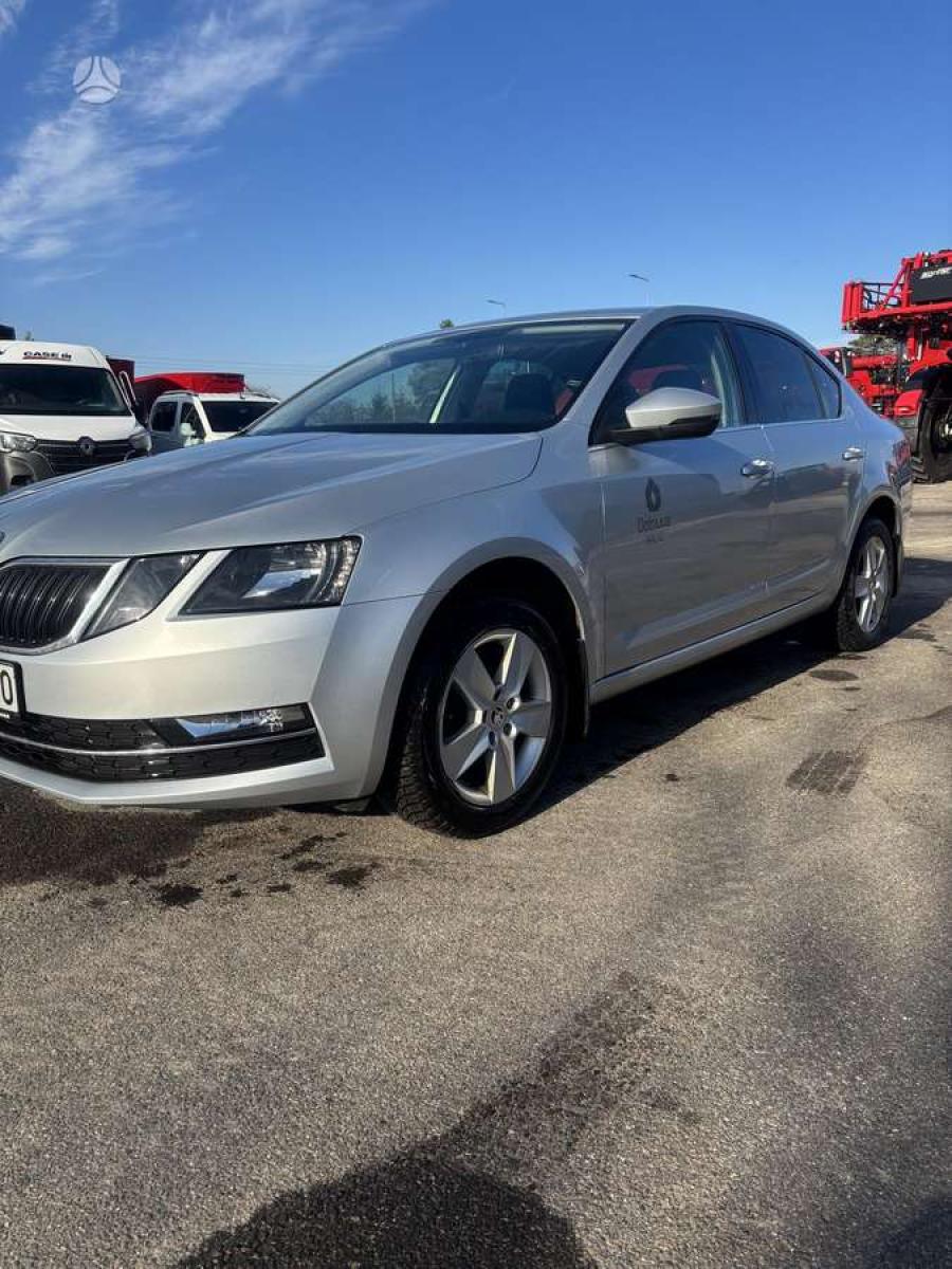 Pelēks Skoda Octavia 2019 Kėdainiai, ar dzinēja tilpumu 1.60 L un nobraukumu 207 tūkst. km par 7500 €, foto 3 vietnē AUTOMOTO.COM.LV