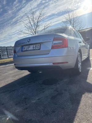 Pelēks Skoda Octavia 2019 Kėdainiai, ar dzinēja tilpumu 1.60 L un nobraukumu 207 tūkst. km par 7500 €, foto 7 vietnē AUTOMOTO.COM.LV