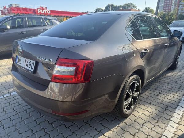 Grey Skoda Octavia 2020 in Riga, with an engine capacity of 2.00 L and mileage of 193 thousand km for 10800 €, photo 5 on AUTOMOTO.COM.LV