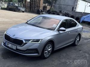Pelēks Skoda Octavia 2020 Rīga, ar dzinēja tilpumu 2.00 L un nobraukumu 0 tūkst. km par 16950 €, foto 4 vietnē AUTOMOTO.COM.LV