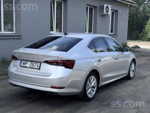 Pelēks Skoda Octavia 2020 Rīga, ar dzinēja tilpumu 2.00 L un nobraukumu 0 tūkst. km par 16950 €, foto 5 vietnē AUTOMOTO.COM.LV