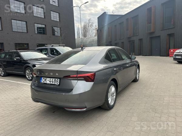 Grey Skoda Octavia 2026 in Riga, with an engine capacity of 2.00 L and mileage of 20 thousand km for 26900 €, photo 5 on AUTOMOTO.COM.LV