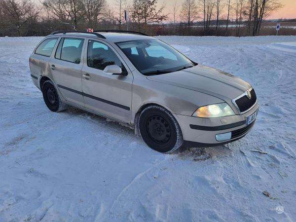 Grey Skoda Octavia 2005 in Birzai, with an engine capacity of 1.96 L and mileage of 420 thousand km for 1250 €, photo 6 on AUTOMOTO.COM.LV