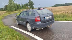 Pelēks Skoda Octavia 2007 Tukums, ar dzinēja tilpumu 2.00 L un nobraukumu 453 tūkst. km par 675 €, foto 5 vietnē AUTOMOTO.COM.LV