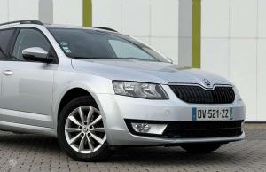 Pelēks Skoda Octavia 2015 Tauragė, ar dzinēja tilpumu 1.60 L un nobraukumu 253 tūkst. km par 5700 €, foto 11 vietnē AUTOMOTO.COM.LV