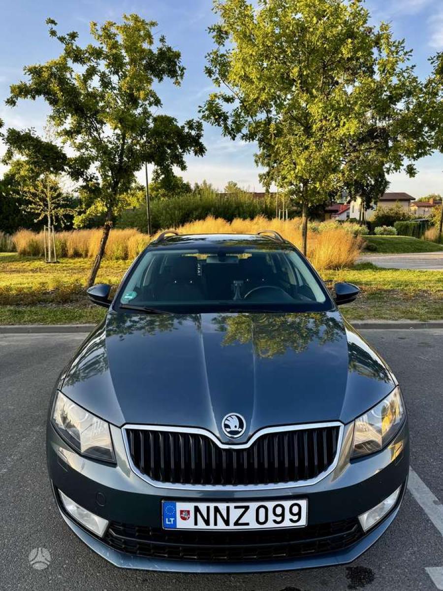 Grey Skoda Octavia 2015 in Vilnius, with an engine capacity of 1.60 L and mileage of 253 thousand km for 6900 €, photo 14 on AUTOMOTO.COM.LV