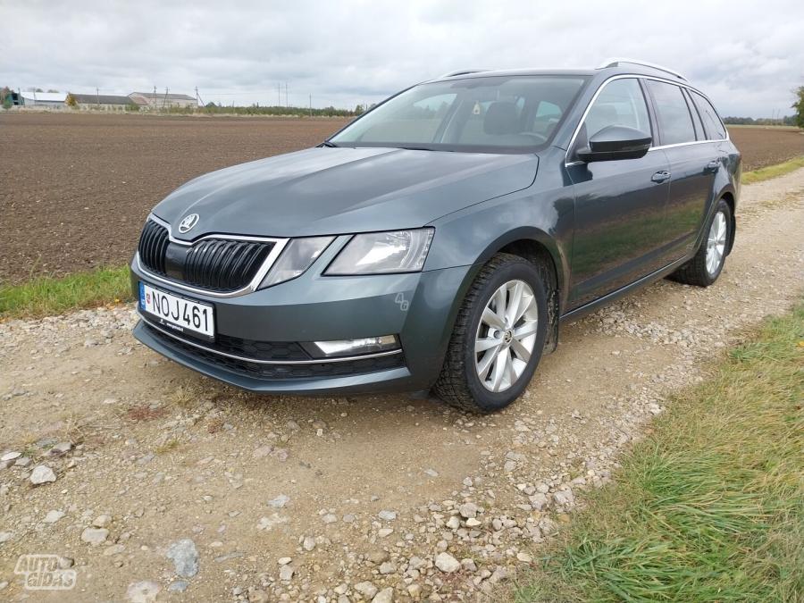 Grey Skoda Octavia 2017 in Pasvalys, with an engine capacity of 2.00 L and mileage of 238 thousand km for 8950 €, photo 1 on AUTOMOTO.COM.LV