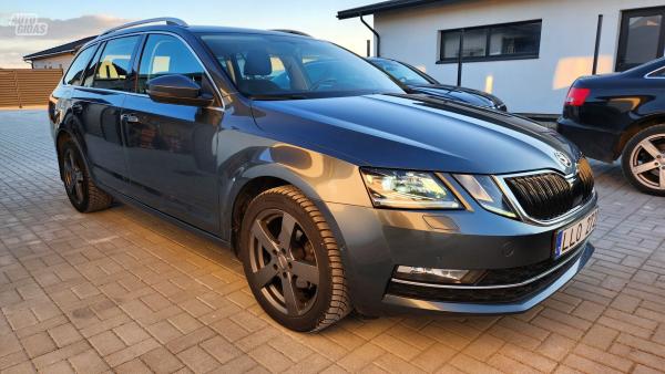 Grey Skoda Octavia 2017 in Klaipeda, with an engine capacity of 1.60 L and mileage of 283 thousand km for 9300 €, photo 9 on AUTOMOTO.COM.LV