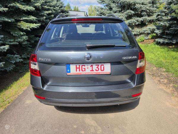 Pelēks Skoda Octavia 2017 Utena, ar dzinēja tilpumu 1.60 L un nobraukumu 243 tūkst. km par 6950 €, foto 6 vietnē AUTOMOTO.COM.LV