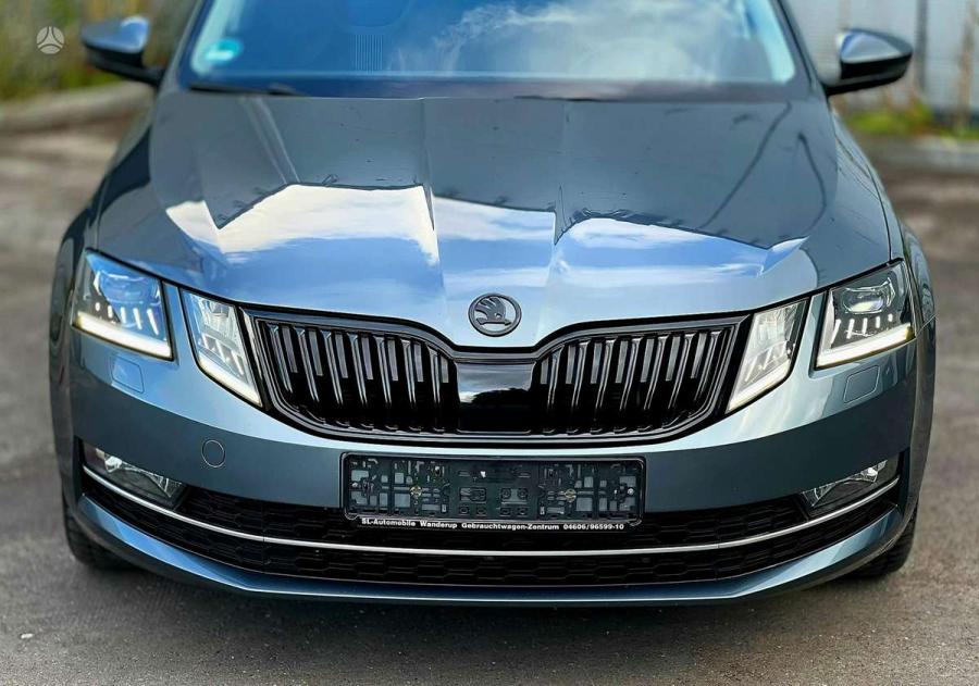 Pelēks Skoda Octavia 2017 Utena, ar dzinēja tilpumu 1.97 L un nobraukumu 250 tūkst. km par 11250 €, foto 17 vietnē AUTOMOTO.COM.LV