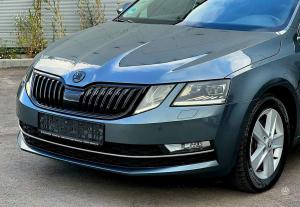 Pelēks Skoda Octavia 2017 Utena, ar dzinēja tilpumu 1.97 L un nobraukumu 250 tūkst. km par 11250 €, foto 19 vietnē AUTOMOTO.COM.LV