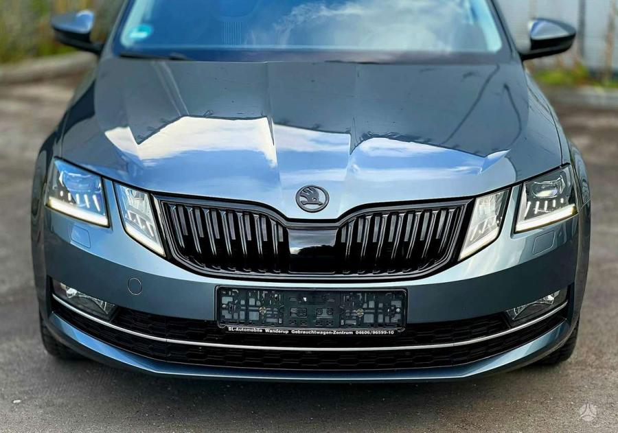 Grey Skoda Octavia 2017 in Utena, with an engine capacity of 1.97 L and mileage of 250 thousand km for 11150 €, photo 21 on AUTOMOTO.COM.LV