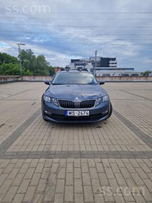 Grey Skoda Octavia 2018 in Riga, with an engine capacity of 1.60 L and mileage of 226 thousand km for 9750 €, photo 3 on AUTOMOTO.COM.LV