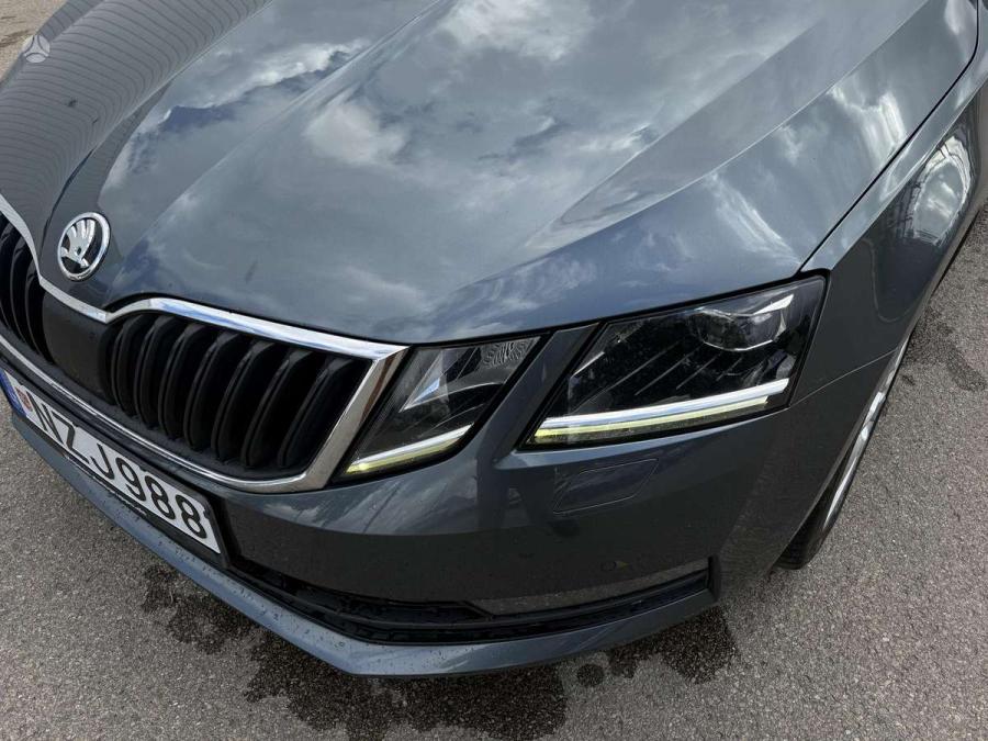 Grey Skoda Octavia 2018 in Rokiskis, with an engine capacity of 1.97 L and mileage of 247 thousand km for 9700 €, photo 9 on AUTOMOTO.COM.LV