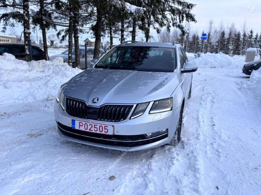 Grey Skoda Octavia 2019 in Klaipeda, with an engine capacity of 1.97 L and mileage of 195 thousand km for 12990 €, photo 2 on AUTOMOTO.COM.LV