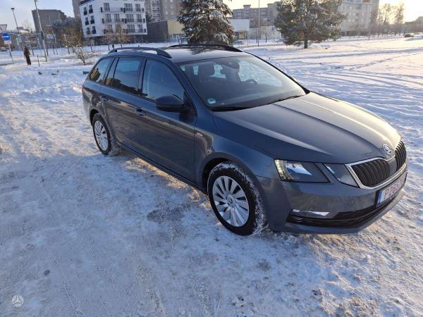 Grey Skoda Octavia 2019 in Kaunas, with an engine capacity of 1.60 L and mileage of 187 thousand km for 9090 €, photo 6 on AUTOMOTO.COM.LV