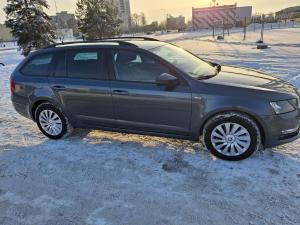 Grey Skoda Octavia 2019 in Kaunas, with an engine capacity of 1.60 L and mileage of 187 thousand km for 9090 €, photo 12 on AUTOMOTO.COM.LV