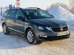 Grey Skoda Octavia 2019 in Vilnius, with an engine capacity of 1.97 L and mileage of 285 thousand km for 8750 €, photo  on AUTOMOTO.COM.LV