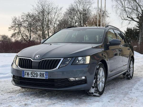 Grey Skoda Octavia 2019 in Vilnius, with an engine capacity of 1.97 L and mileage of 260 thousand km for 8450 €, photo 2 on AUTOMOTO.COM.LV