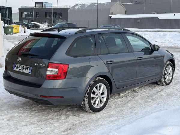 Grey Skoda Octavia 2019 in Vilnius, with an engine capacity of 1.97 L and mileage of 260 thousand km for 8450 €, photo 6 on AUTOMOTO.COM.LV
