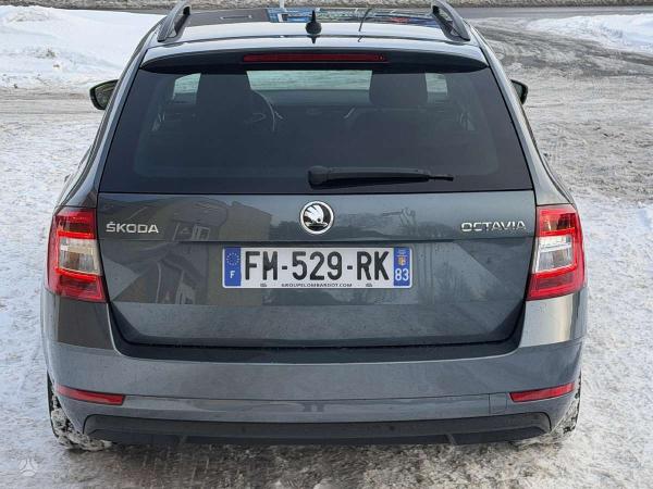 Grey Skoda Octavia 2019 in Vilnius, with an engine capacity of 1.97 L and mileage of 260 thousand km for 8450 €, photo 8 on AUTOMOTO.COM.LV