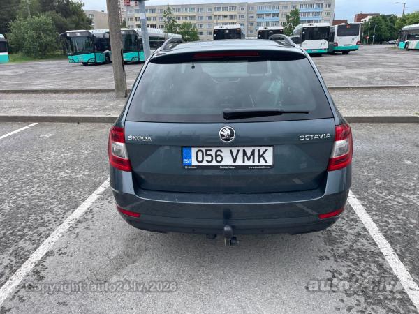 Pelēks Skoda Octavia 2019 Tallina, ar dzinēja tilpumu 1.60 L un nobraukumu 301 tūkst. km par 6750 €, foto 4 vietnē AUTOMOTO.COM.LV